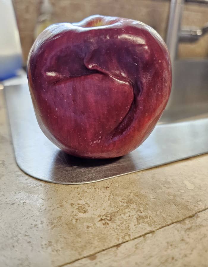 15 Oddly Riveting Things For Weirdos