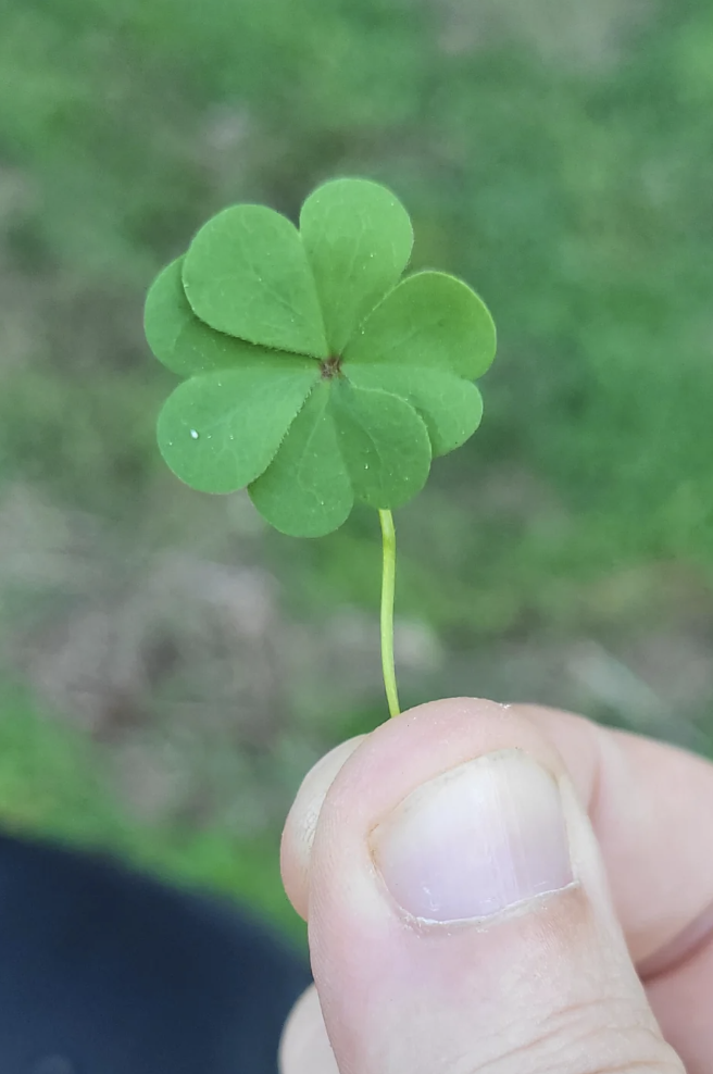 15 Oddly Riveting Things For Weirdos