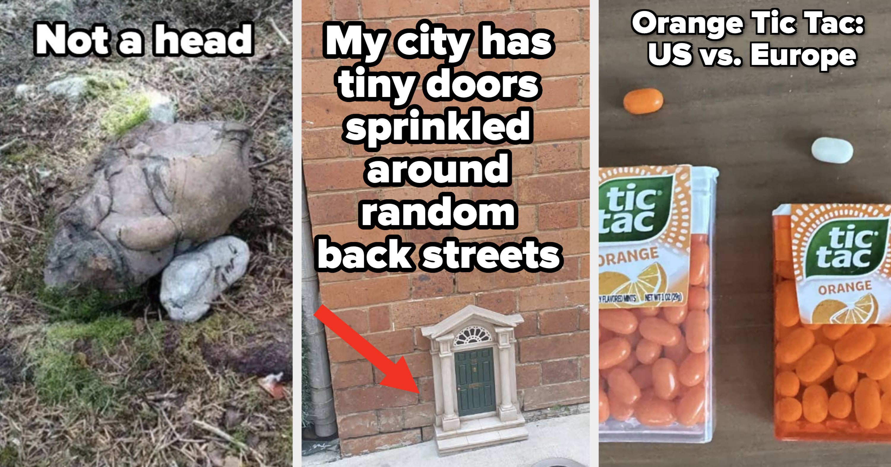 15 Oddly Riveting Things For Weirdos