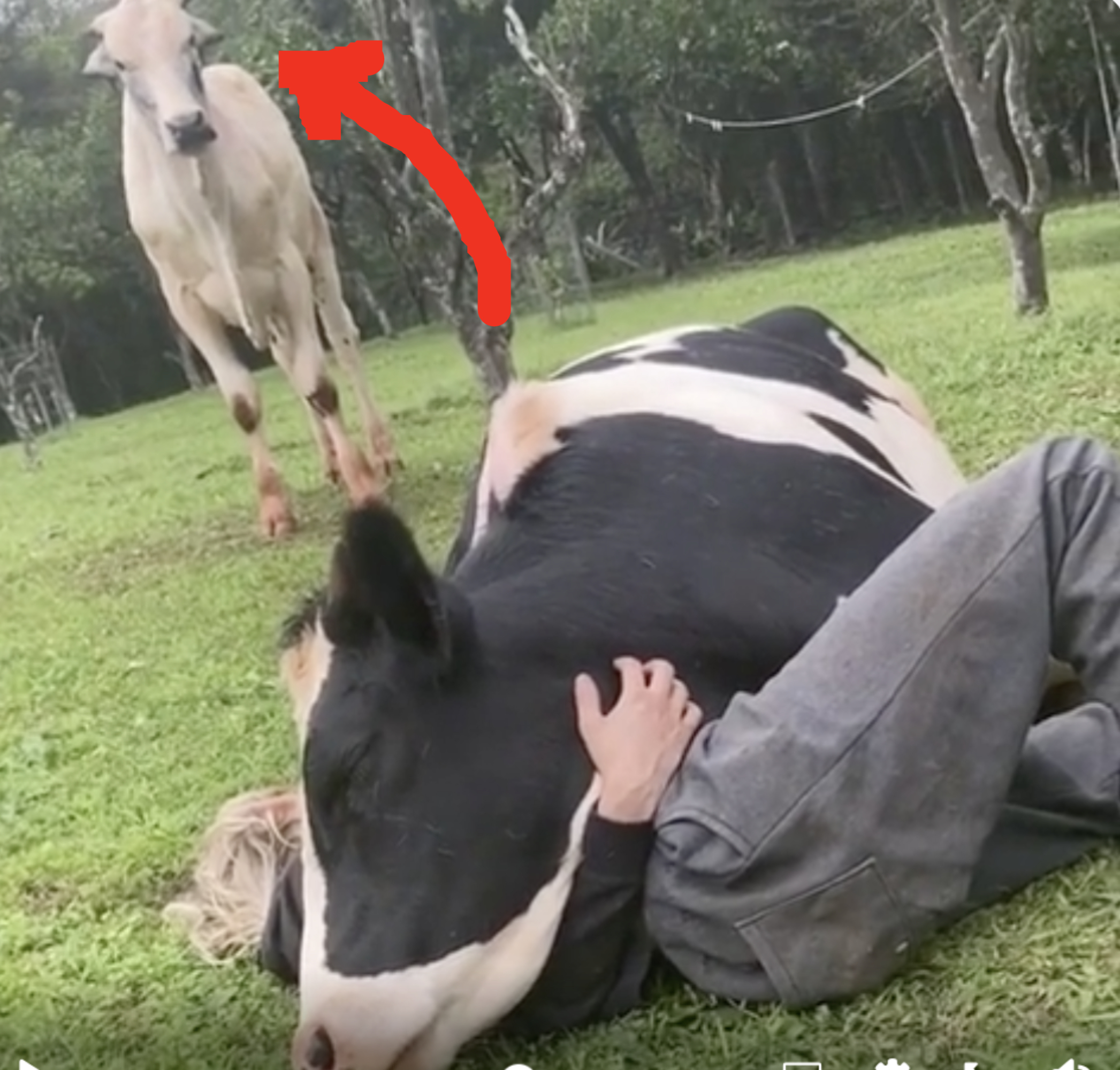 15 Freaking Funny Photos That Made Me Consider Stopping Meds