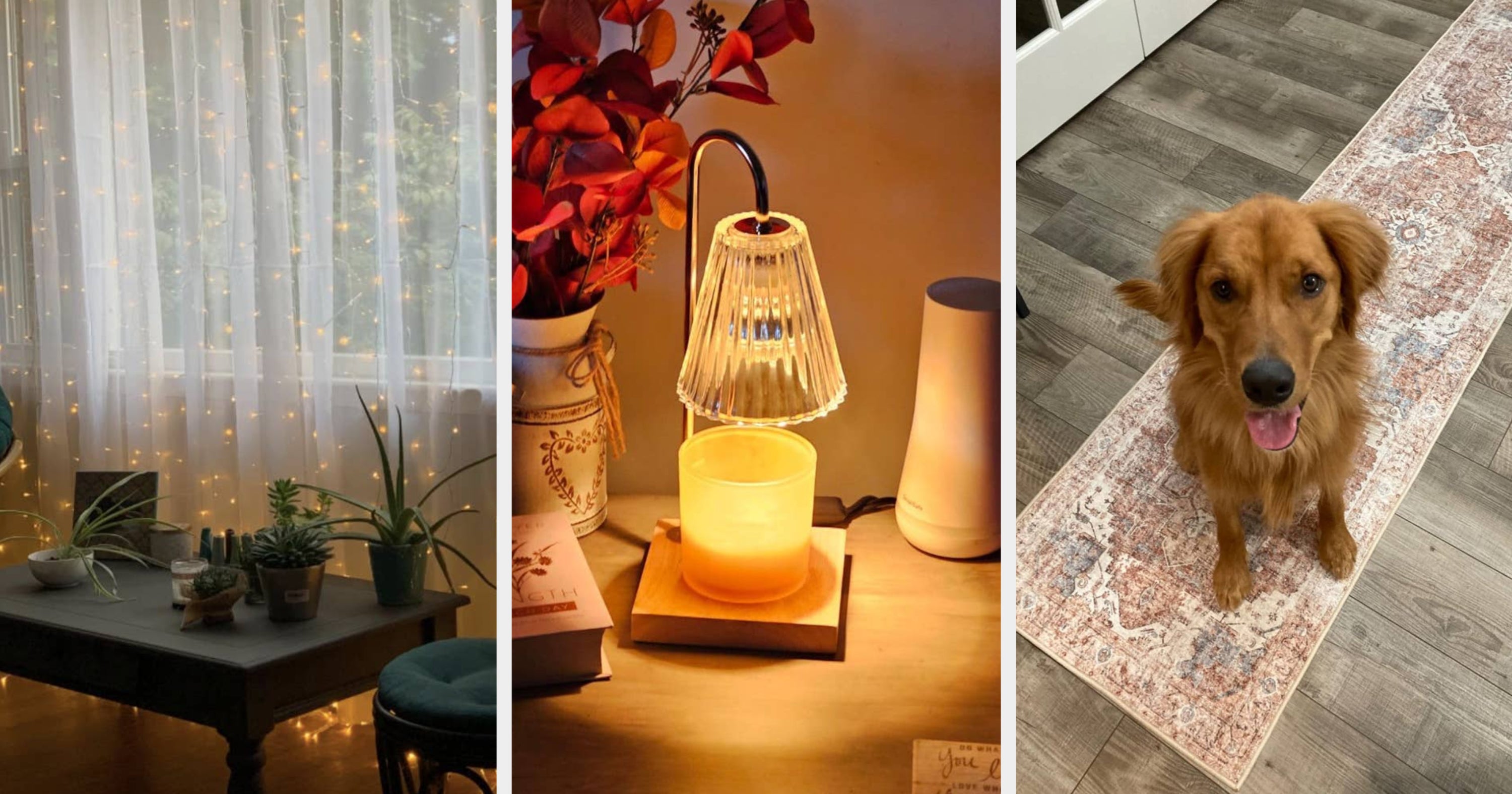 56 Home Decor Ideas For Every Taste And Style