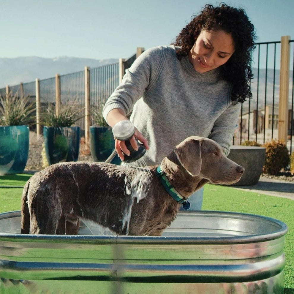 20 Target Pet Products You're Sure To Gush Over