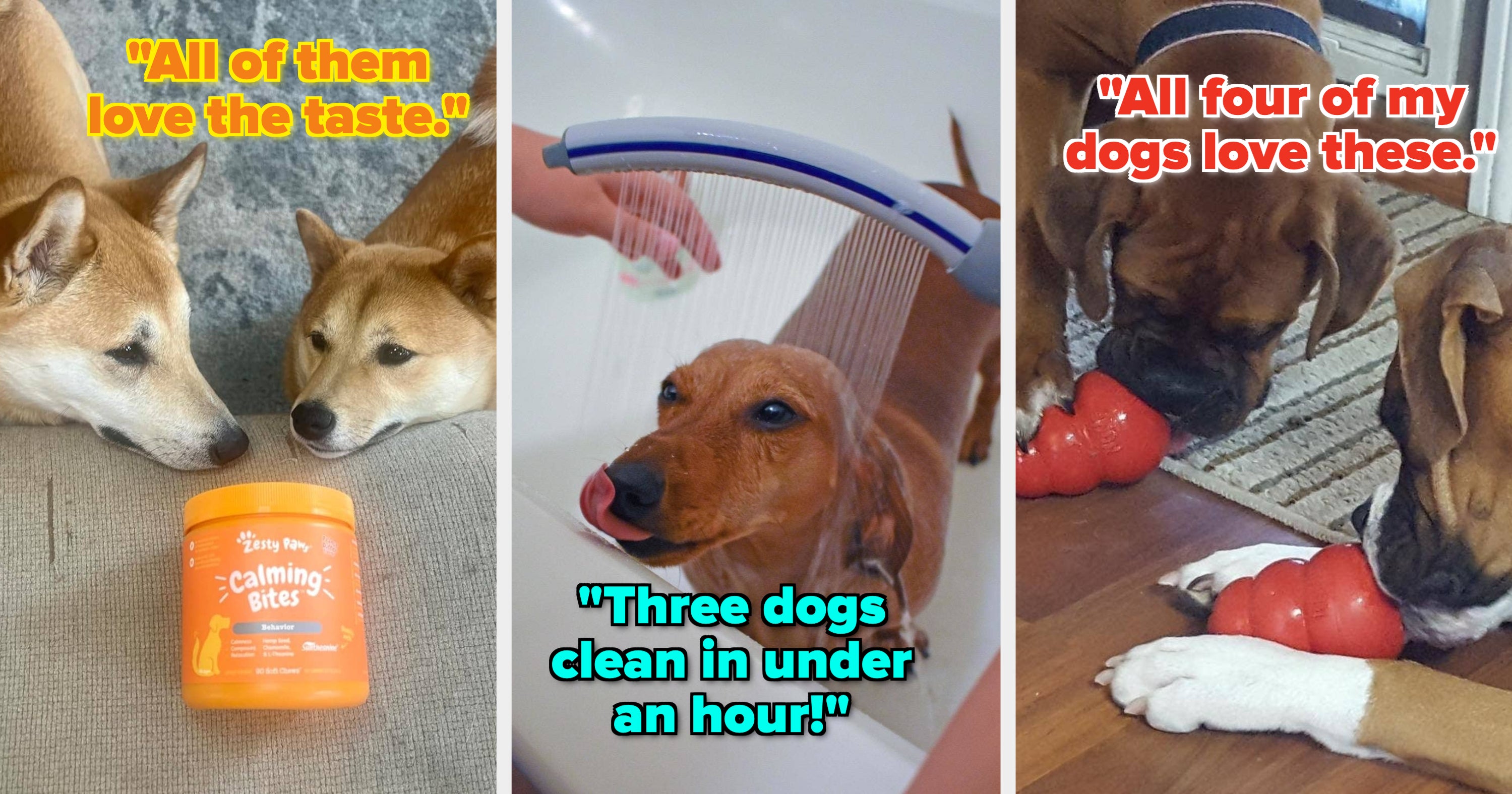 27 Pet Products For Multi-Dog Households
