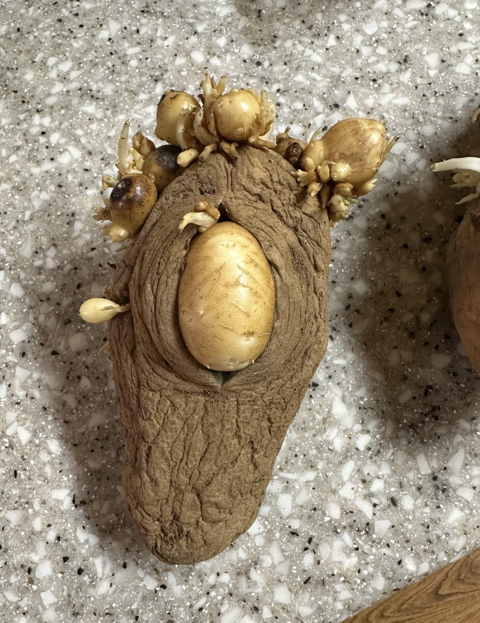 14 Other-Wordly Photos That Are A Living Nightmare