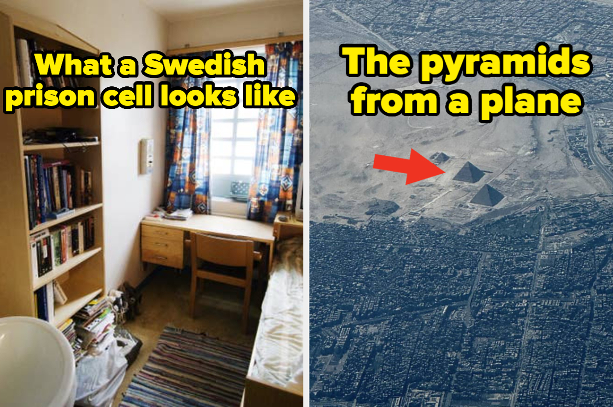 The Best of the Internet News and Trends