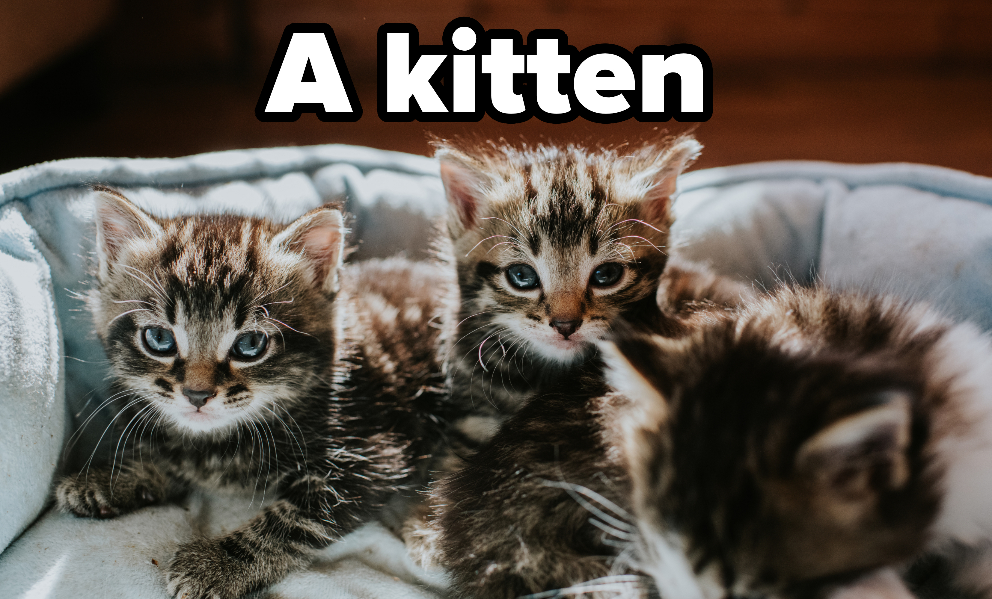 75 Of The Hardest Riddles That'll Probably Stump You