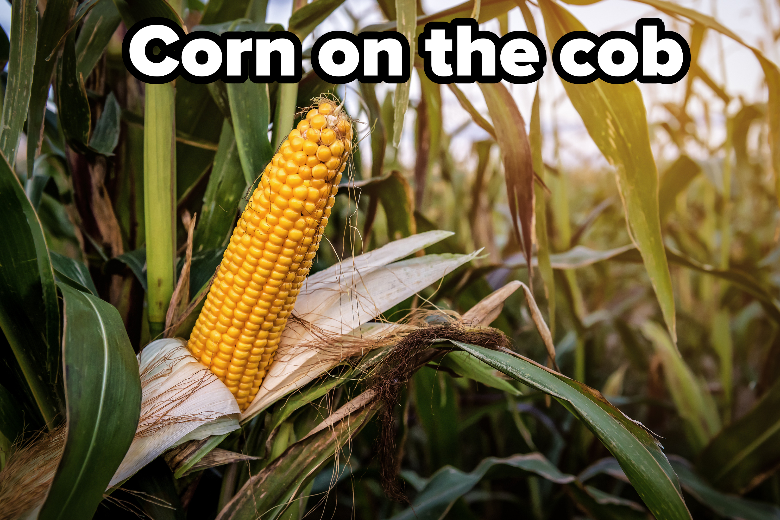 75 Of The Hardest Riddles That'll Probably Stump You