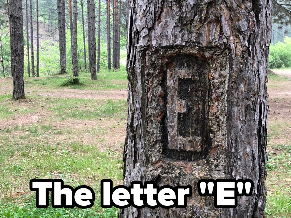 55 Of The Hardest Riddles That'll Probably Stump You