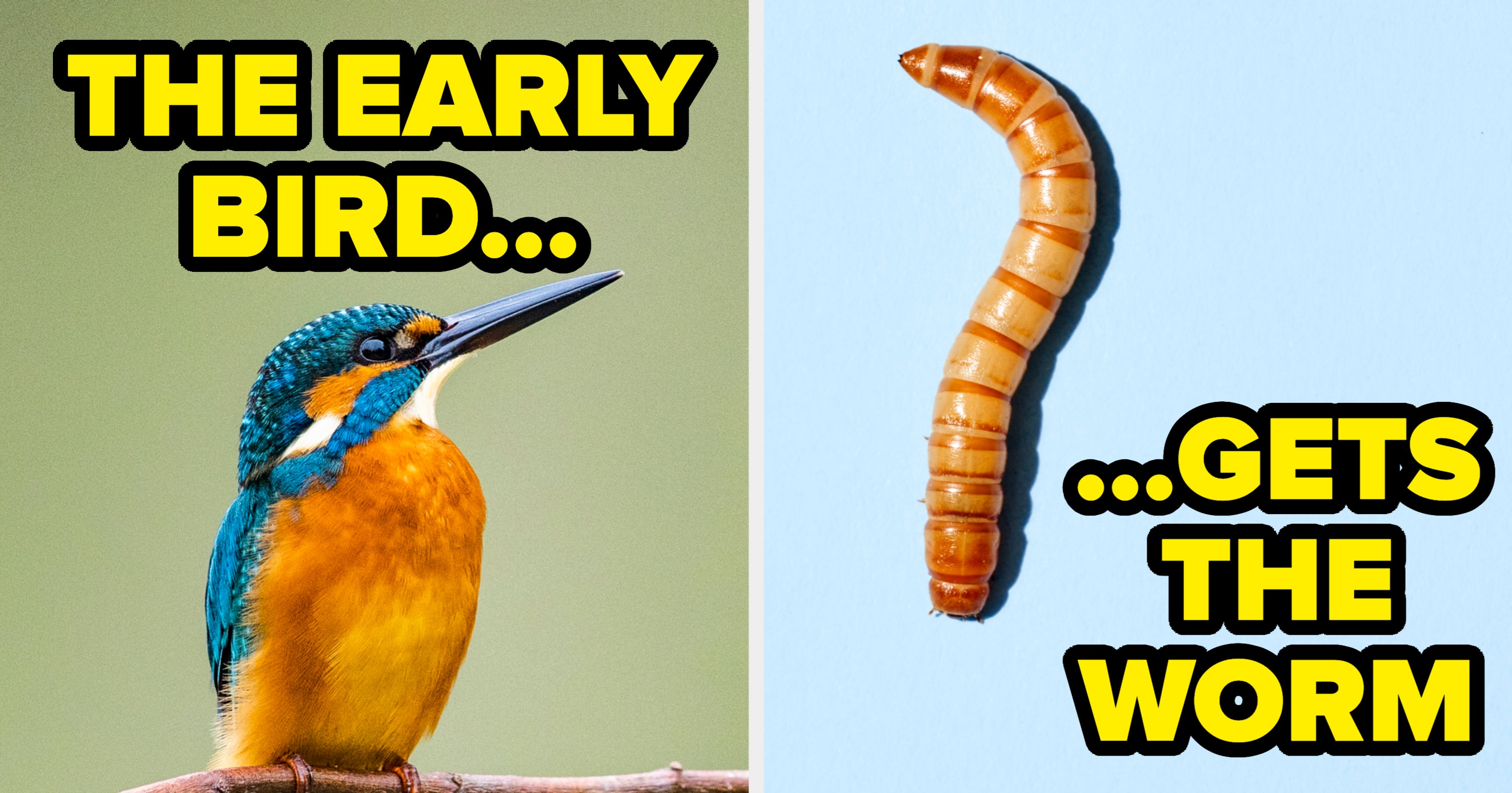 Anapodoton Definition And Examples