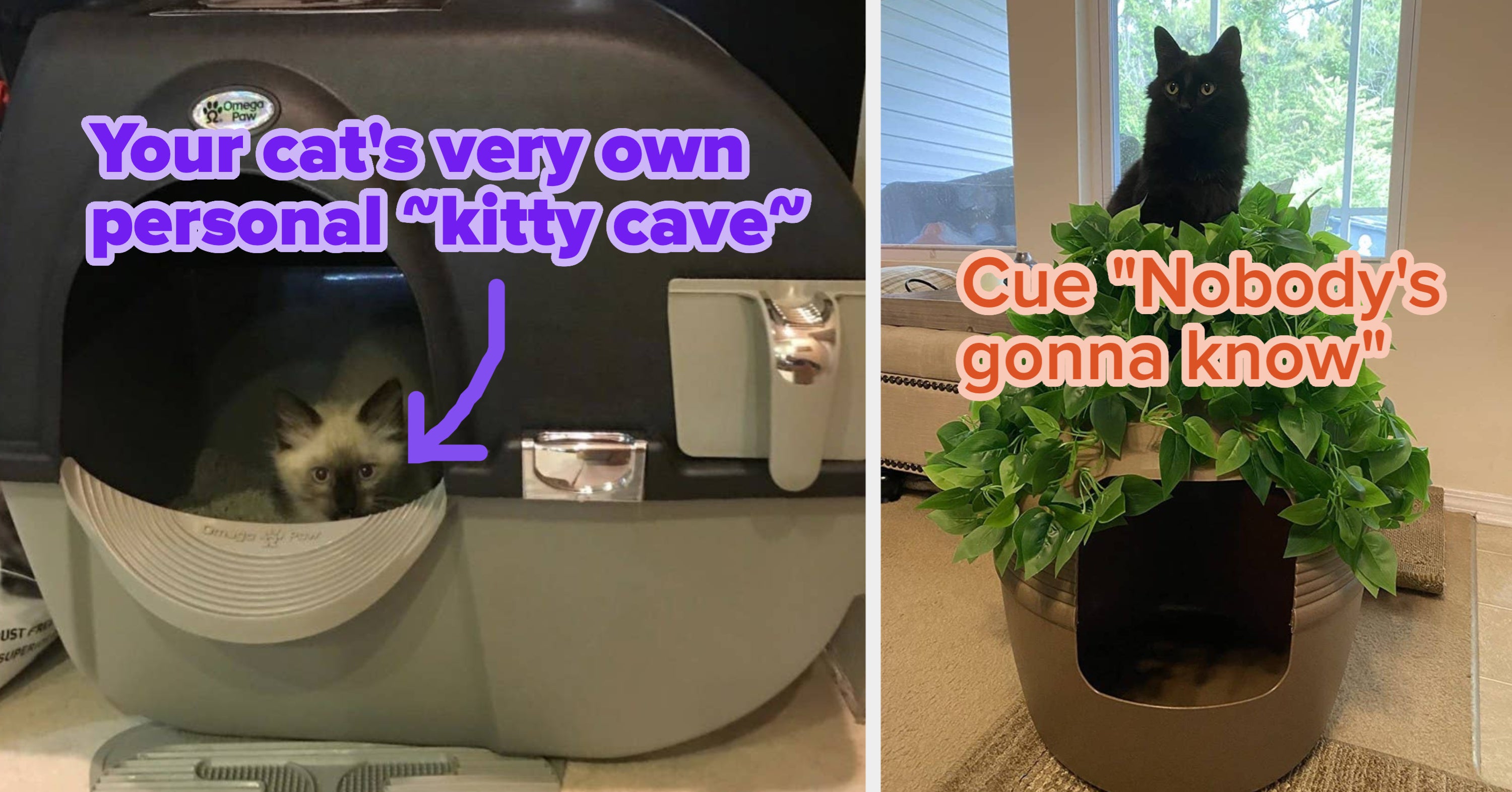 34 Best Hidden Litter Box Enclosures For Cats