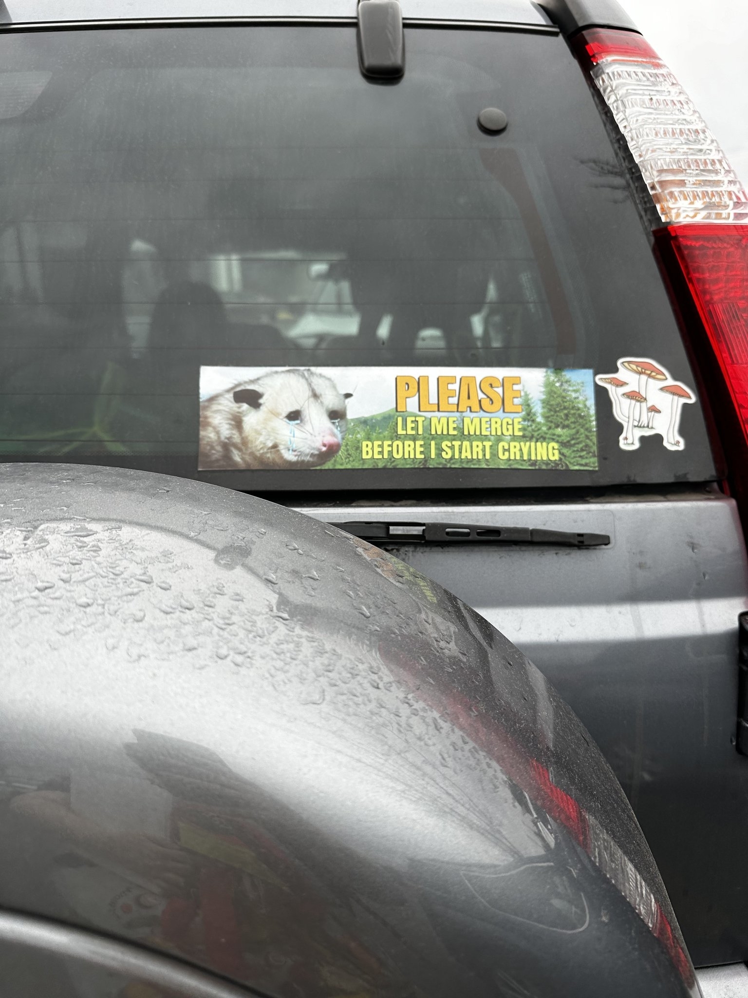 50 Bumper Stickers That Make Me Laugh Uncontrollably No Matter How Many ...