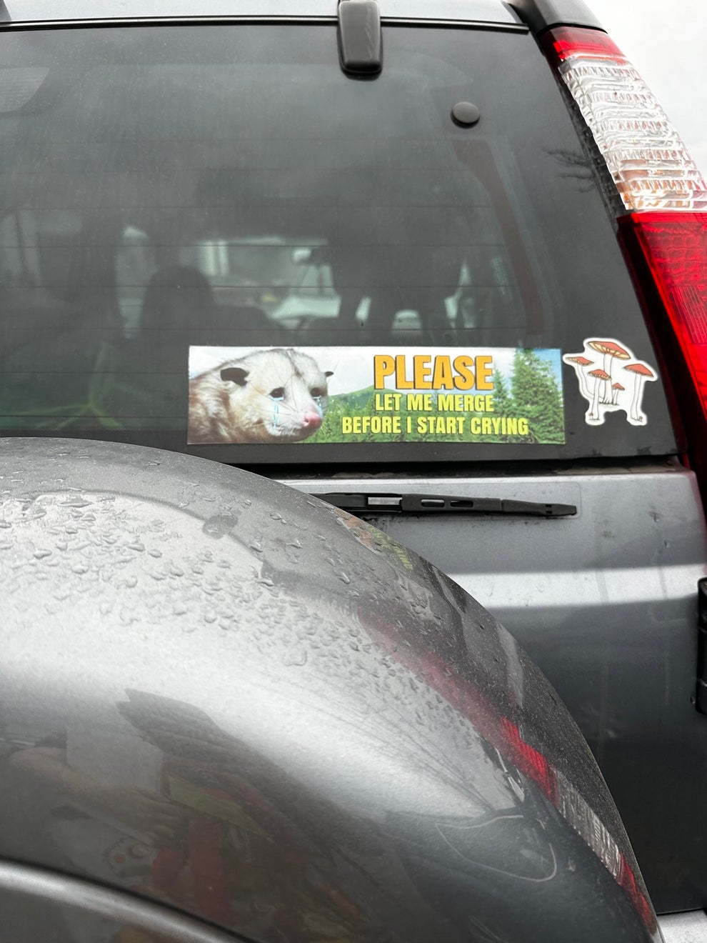 35 Extremely Dumb Bumper Stickers That Make Me Laugh Uncontrollably ...