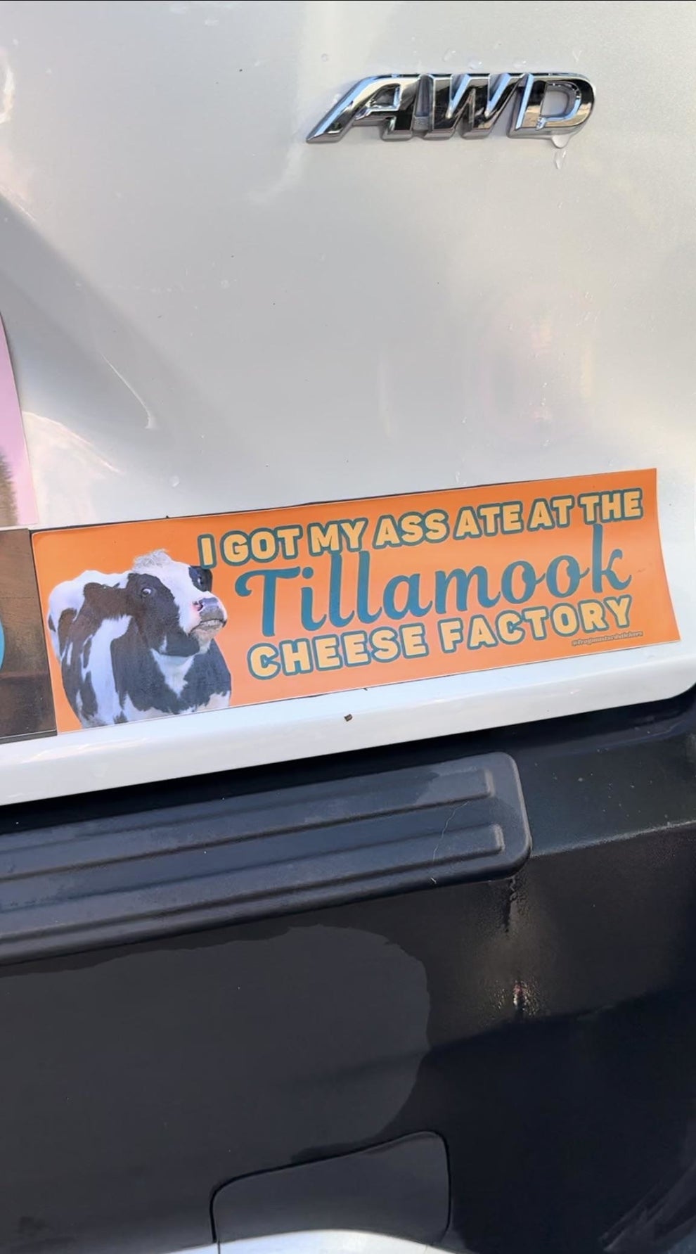 35 Extremely Dumb Bumper Stickers That Make Me Laugh Uncontrollably ...