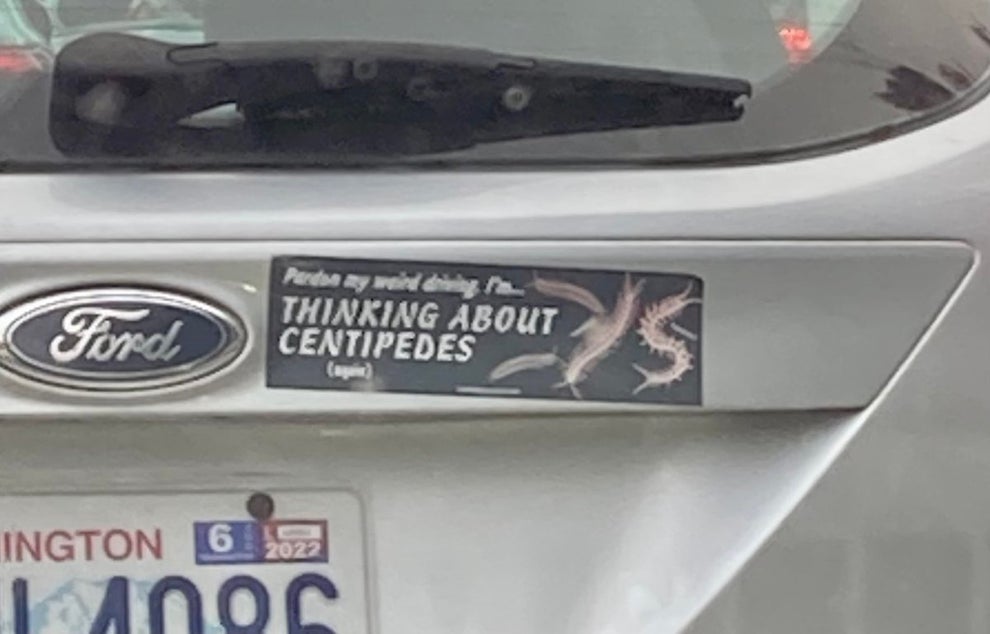 35 Extremely Dumb Bumper Stickers That Make Me Laugh Uncontrollably ...