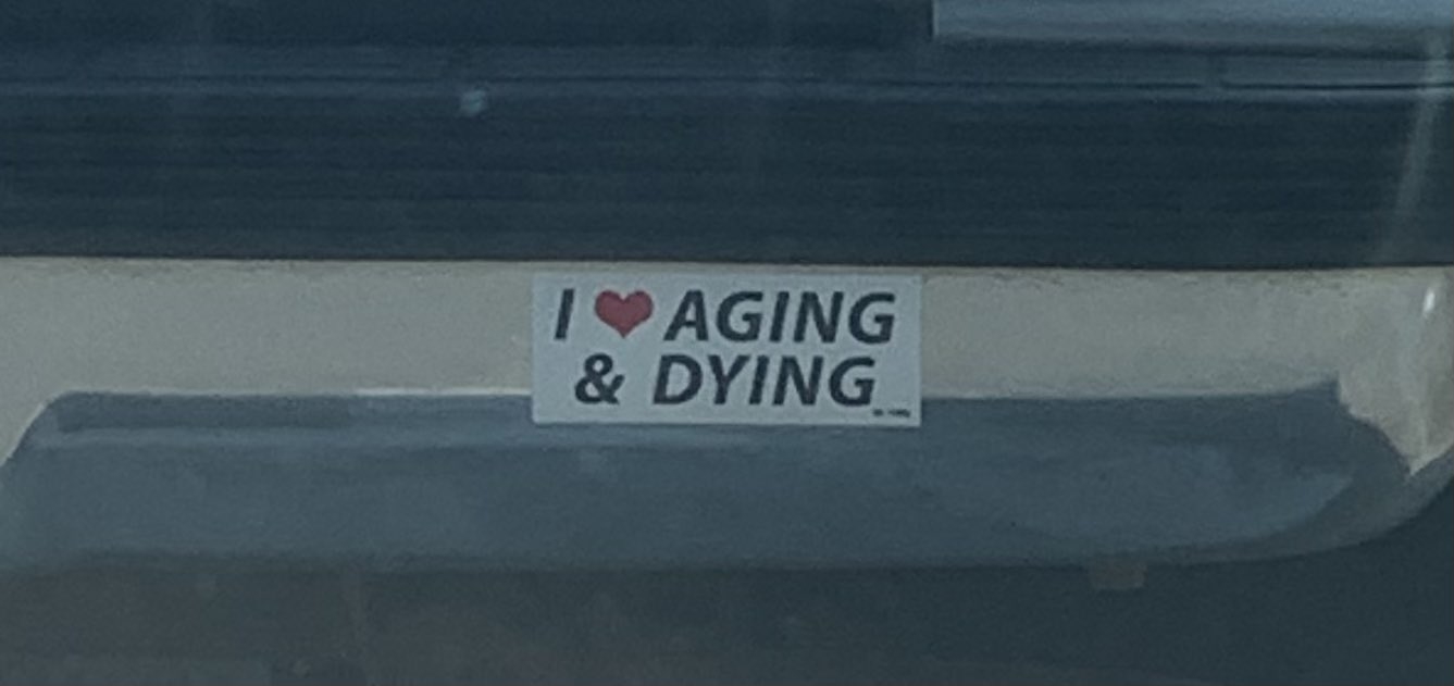 35 Extremely Dumb Bumper Stickers That Make Me Laugh Uncontrollably ...