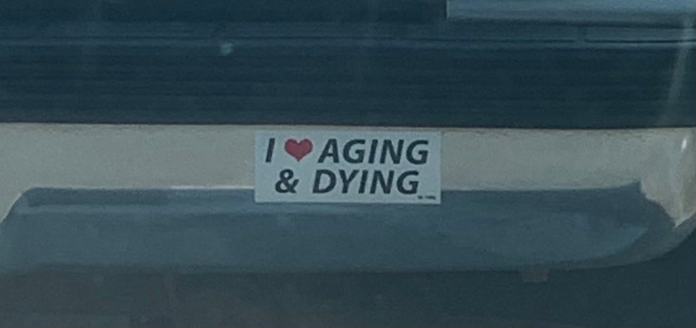 35 Extremely Dumb Bumper Stickers That Make Me Laugh Uncontrollably ...