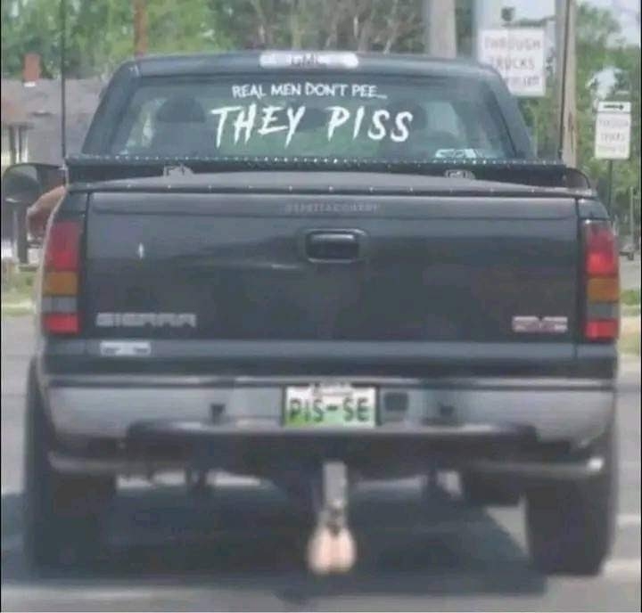 35 Extremely Dumb Bumper Stickers That Make Me Laugh Uncontrollably ...