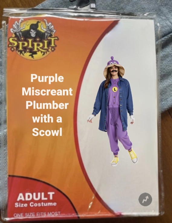 Fake Spirit Costumes Go Viral with Trump Supporter Theme