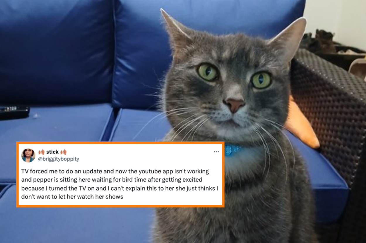 The Best Tweets from the Internet