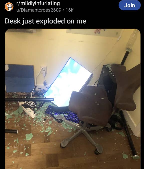 20 People Who Woke Up One Morning Last Week And Promptly Destroyed ...