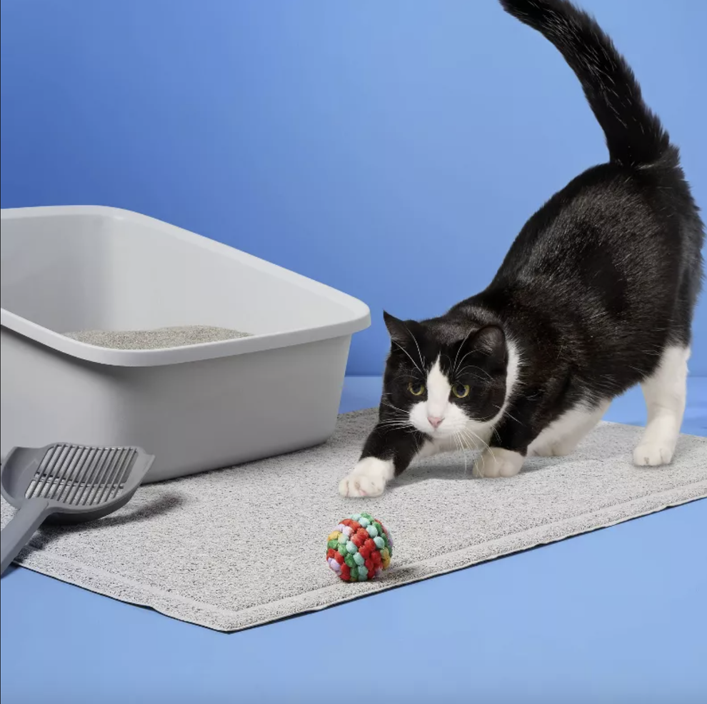 20 Useful Target Products For Multi-Cat Homes