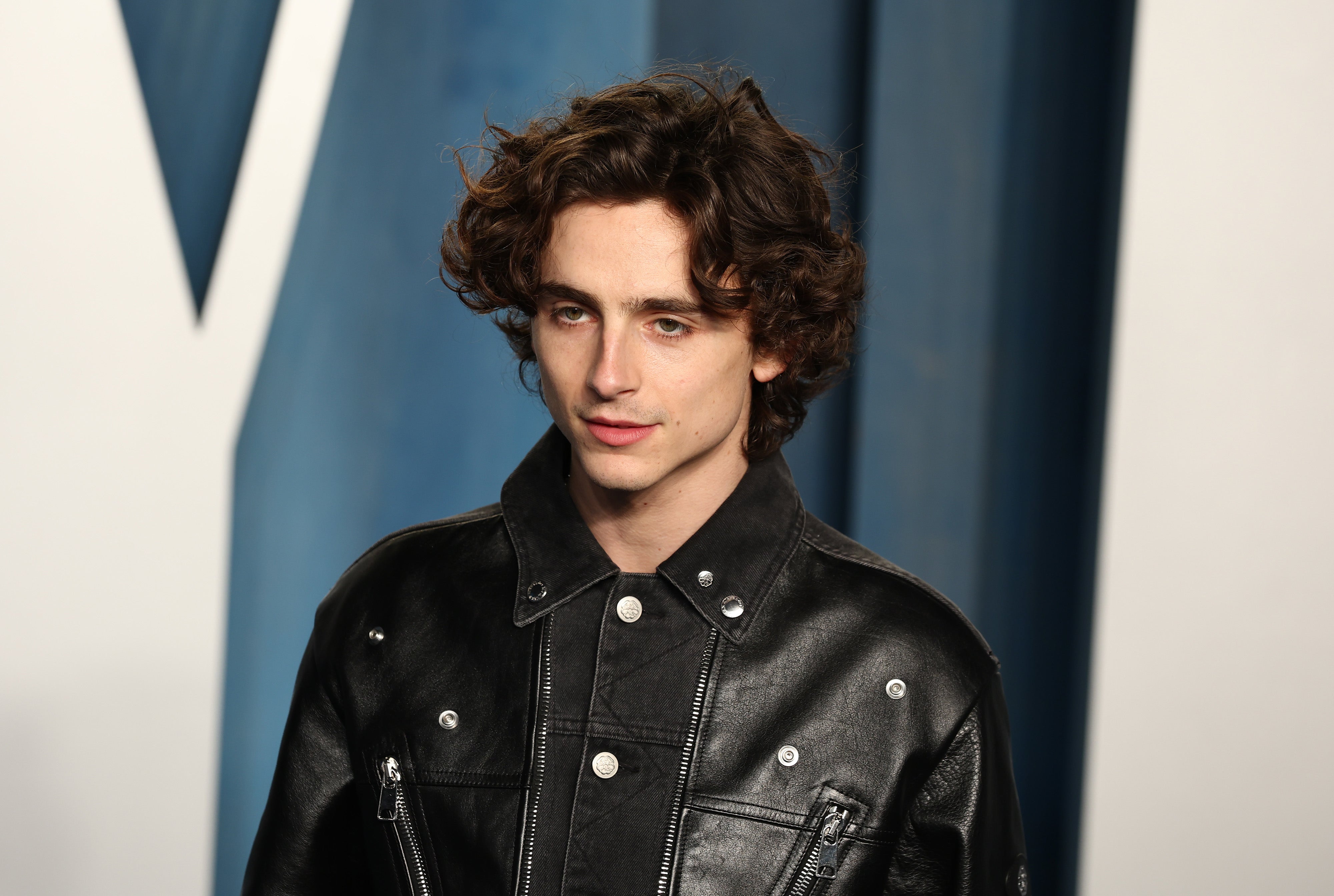 Timothée Chalamet Was Told He Didn't Have The Right Body For Big Movies