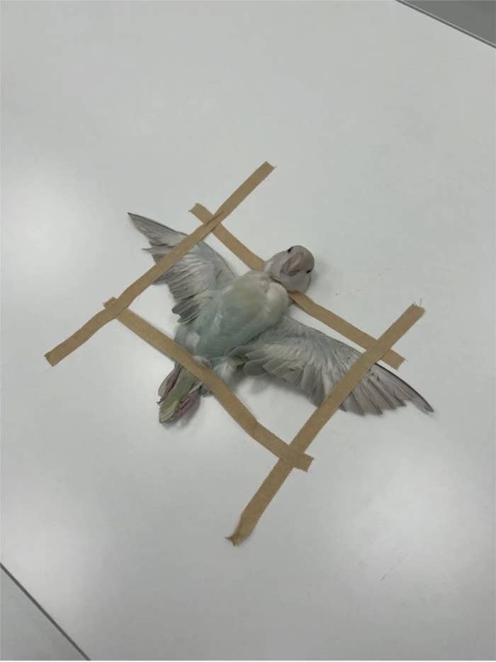 My Dumb Little Brain Is Completely Blown After Seeing These Absolutely ...