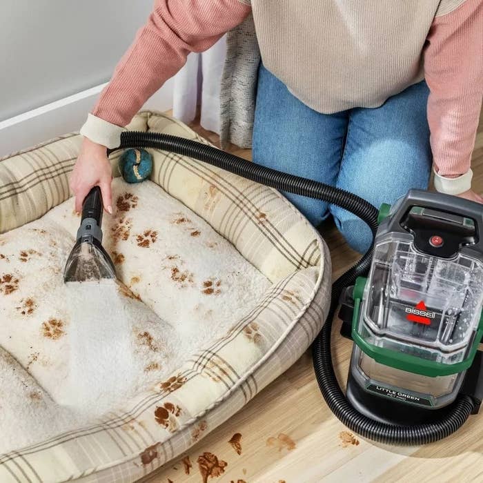 27 Products For Keeping Your Home Clean Of Pet Messes