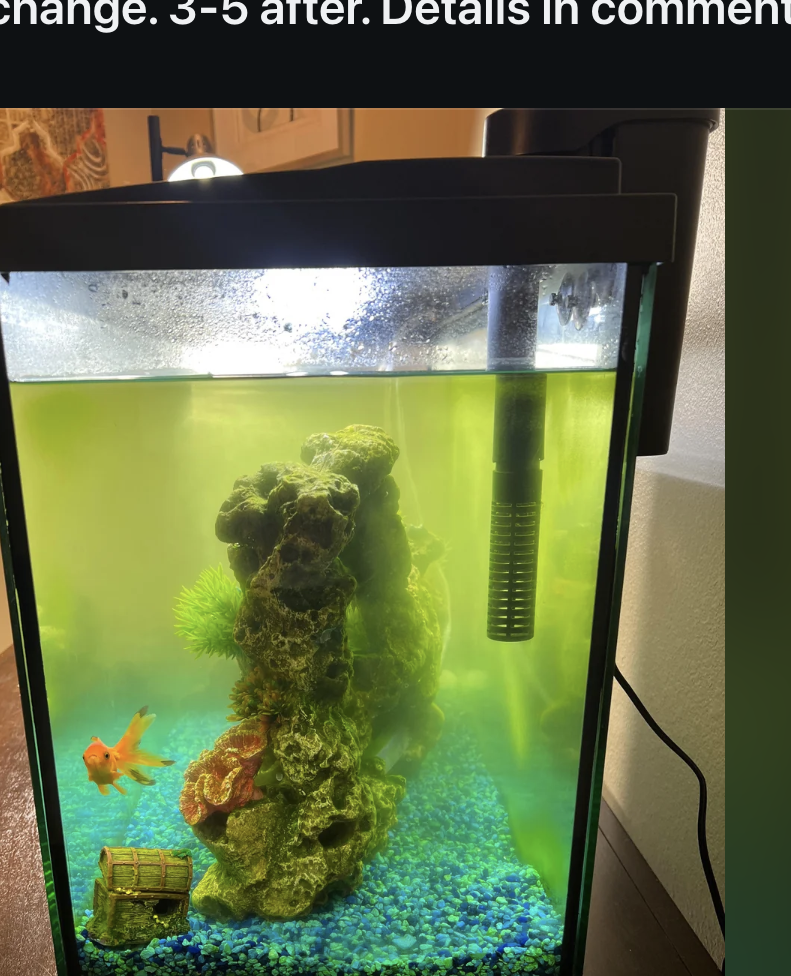 25 Red Flag Items People Saw In Another Person's Home