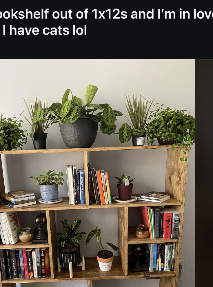 25 Red Flag Items People Saw In Another Person's Home