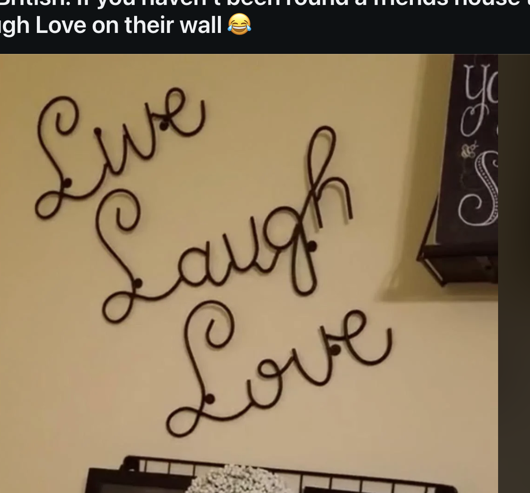 25 Red Flag Items People Saw In Another Person's Home