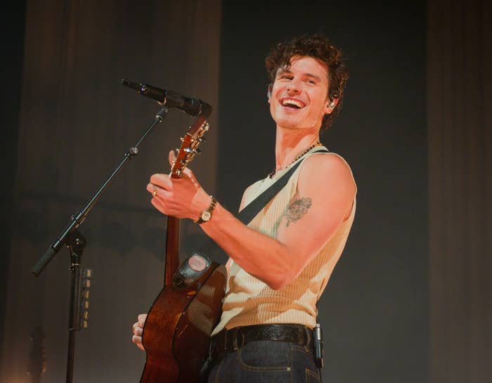 Shawn Mendes On Lose-Lose Sexuality Speculation
