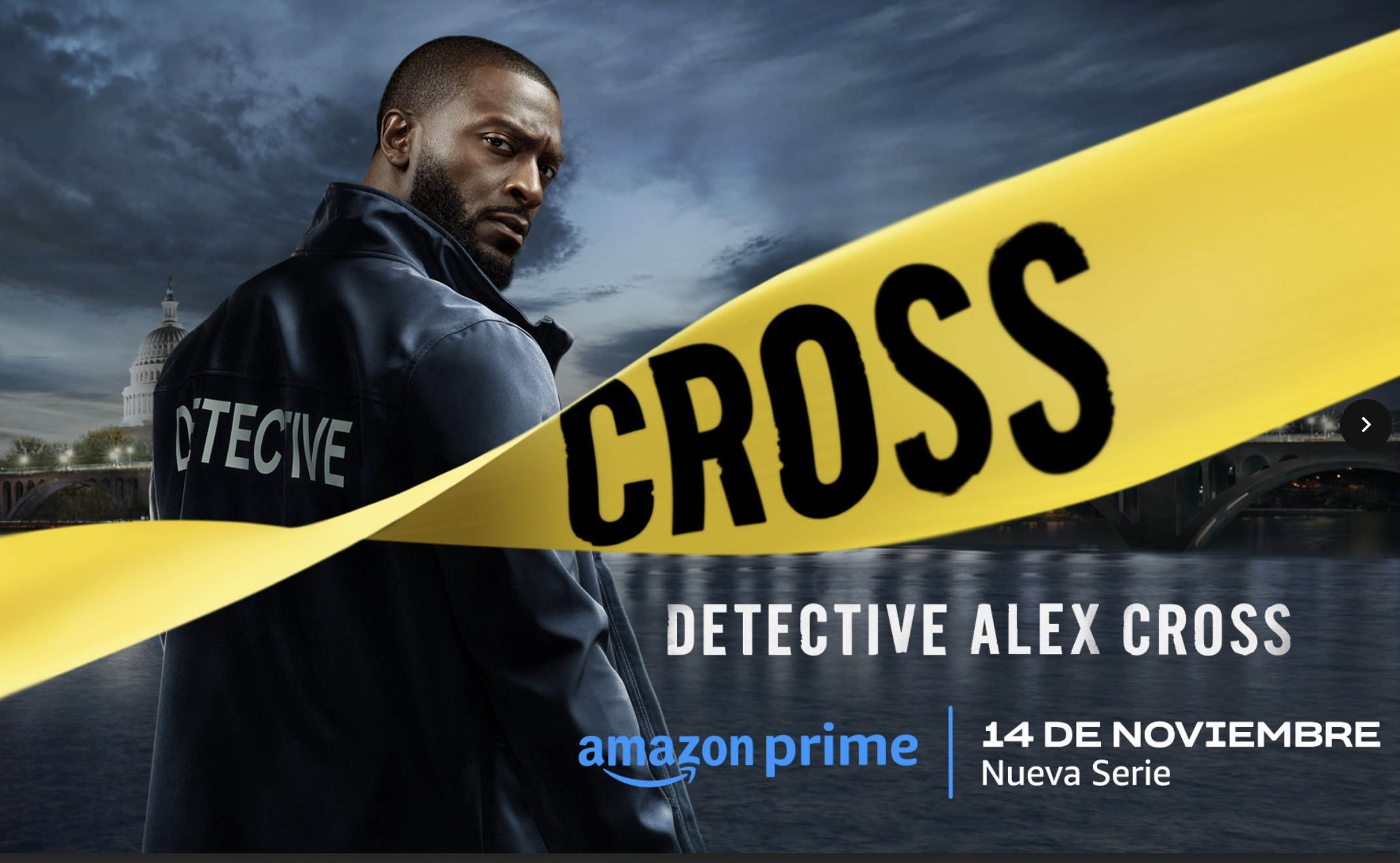 Para echártela en un día: Detective Alex Cross, la serie para los que ...
