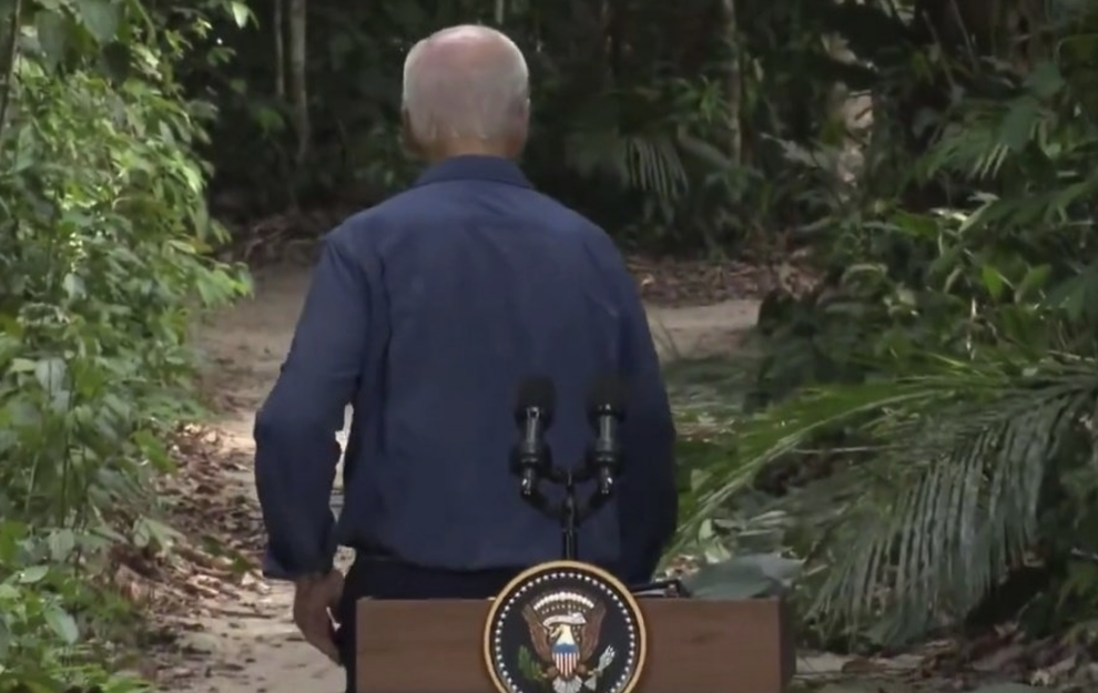 Viral Joe Biden Amazon Rainforest Meme