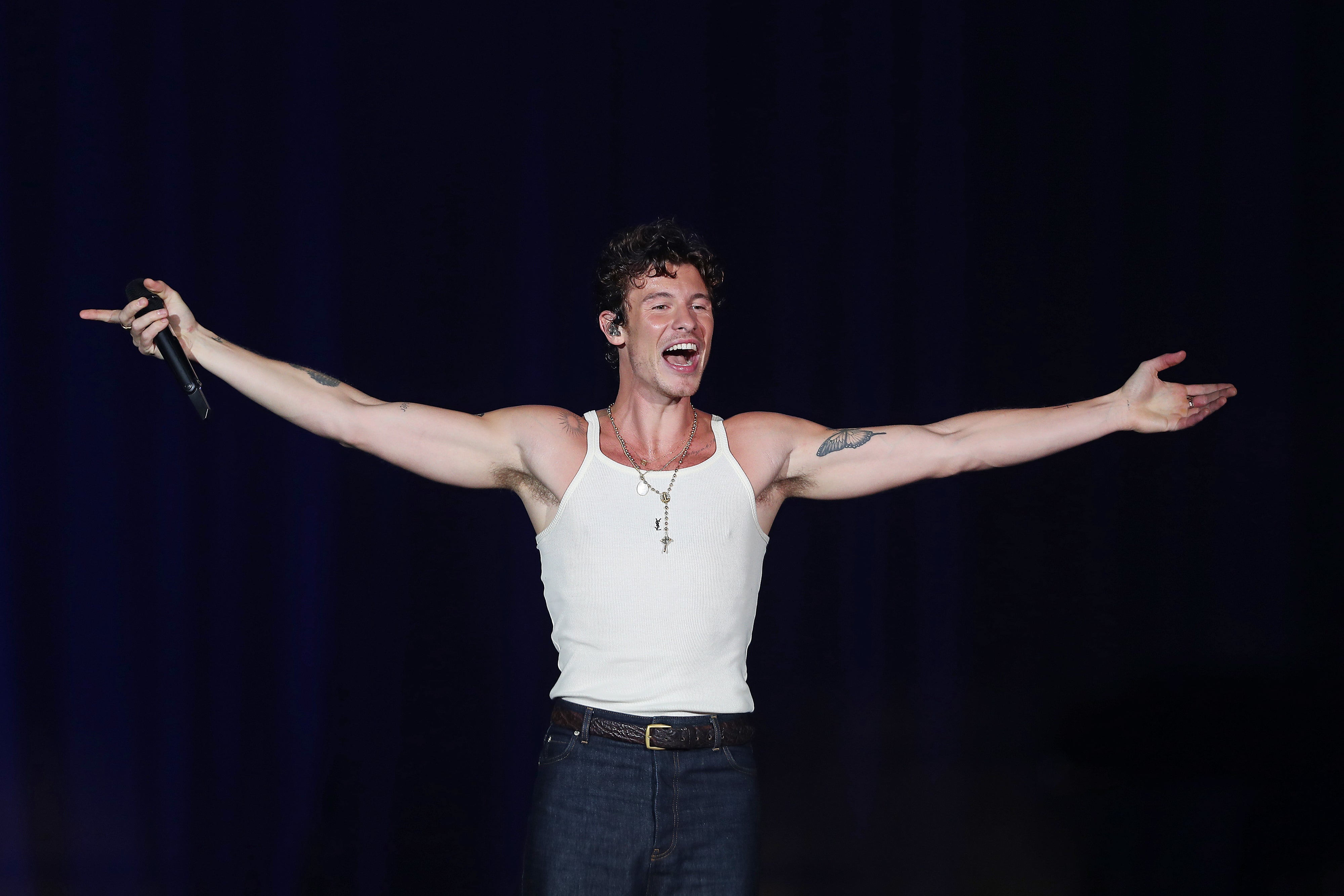 Lady Gaga And Shawn Mendes Were About To Star In Wicked