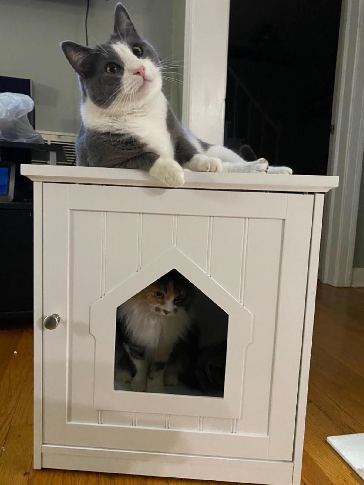 36 Best Hidden Litter Box Enclosures For Cats