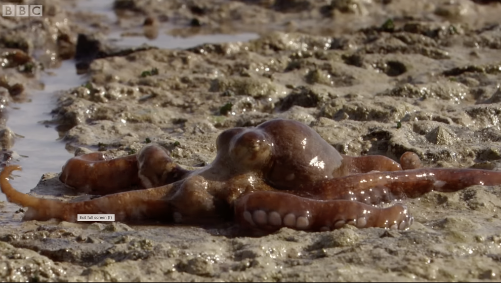 23 Of The Most Unlikely Things To Ever Happen