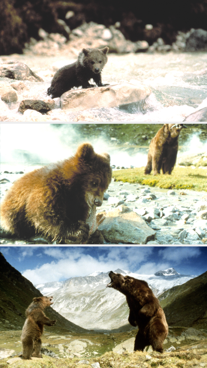 The 59 Saddest Kids' Movie Scenes Of All Time