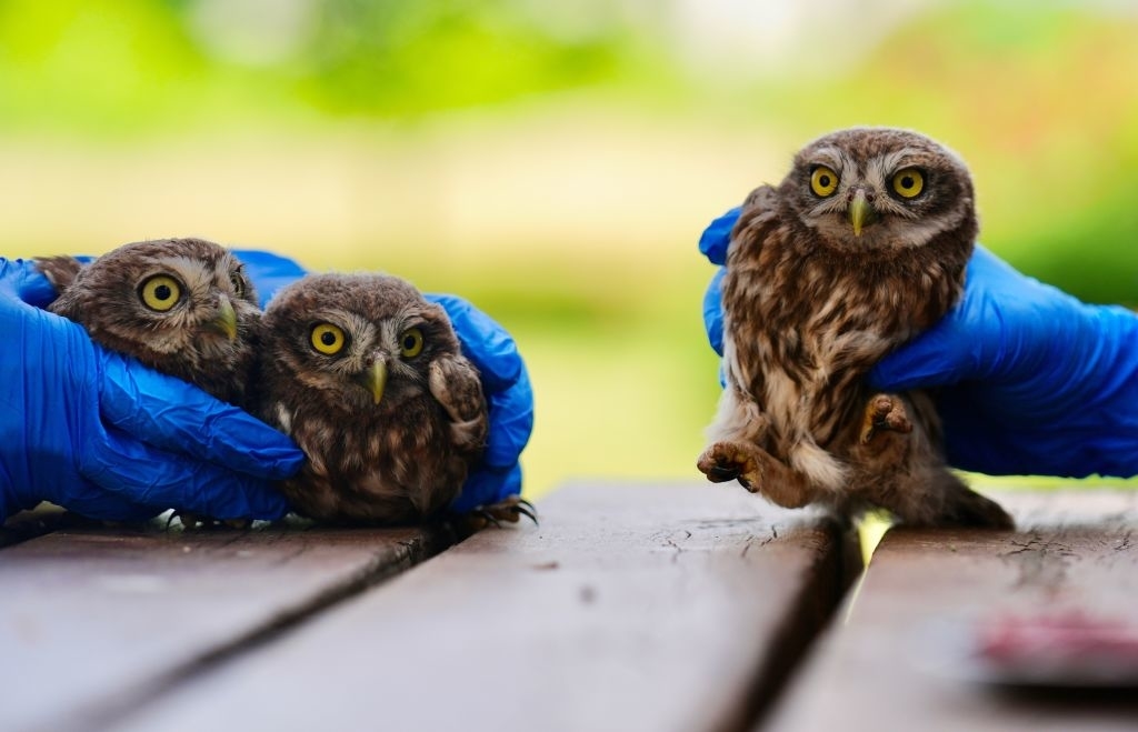 365 Random Trivia Questions & Answers For Trivia Night