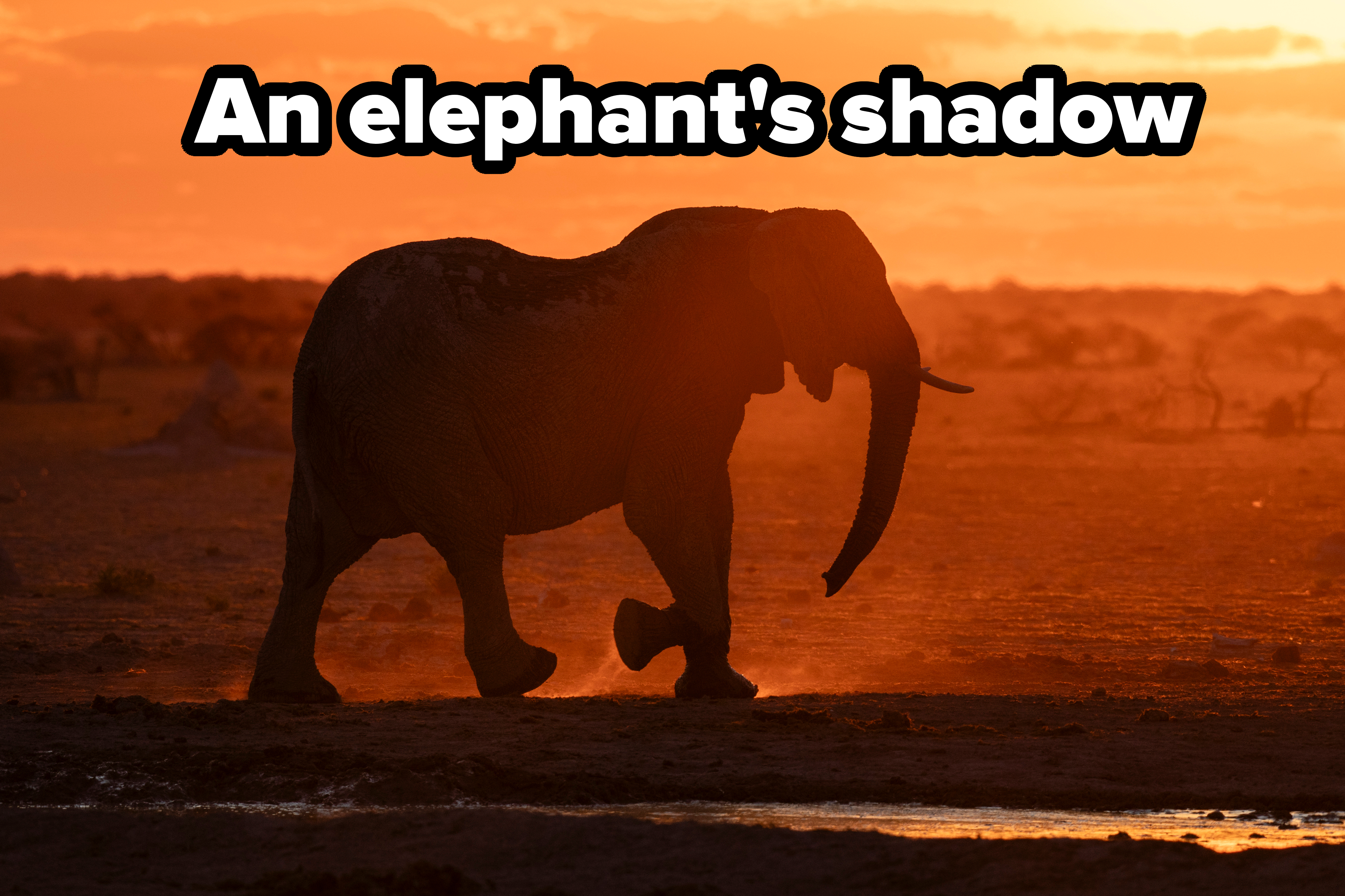 55 Easy Riddles With Answers That Anyone Can Enjoy