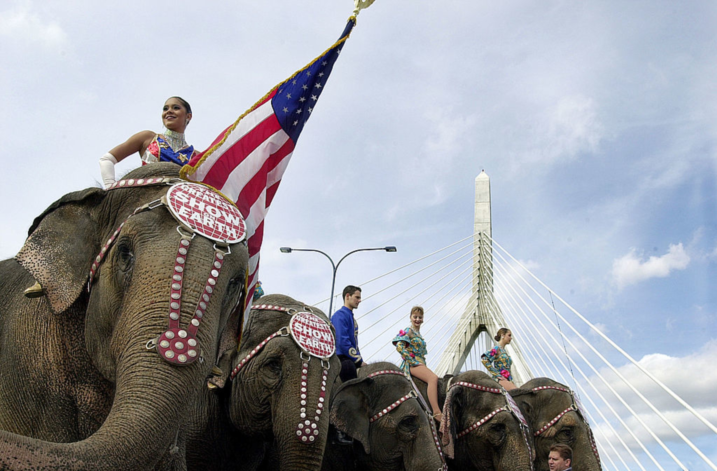 33 Ridiculously Unlikely Things That Actually Happened