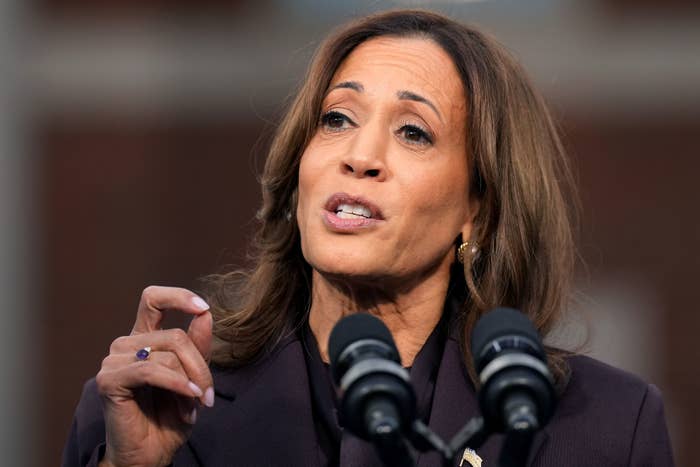 What Are Your Thoughts On Potential Kamala Harris 2028