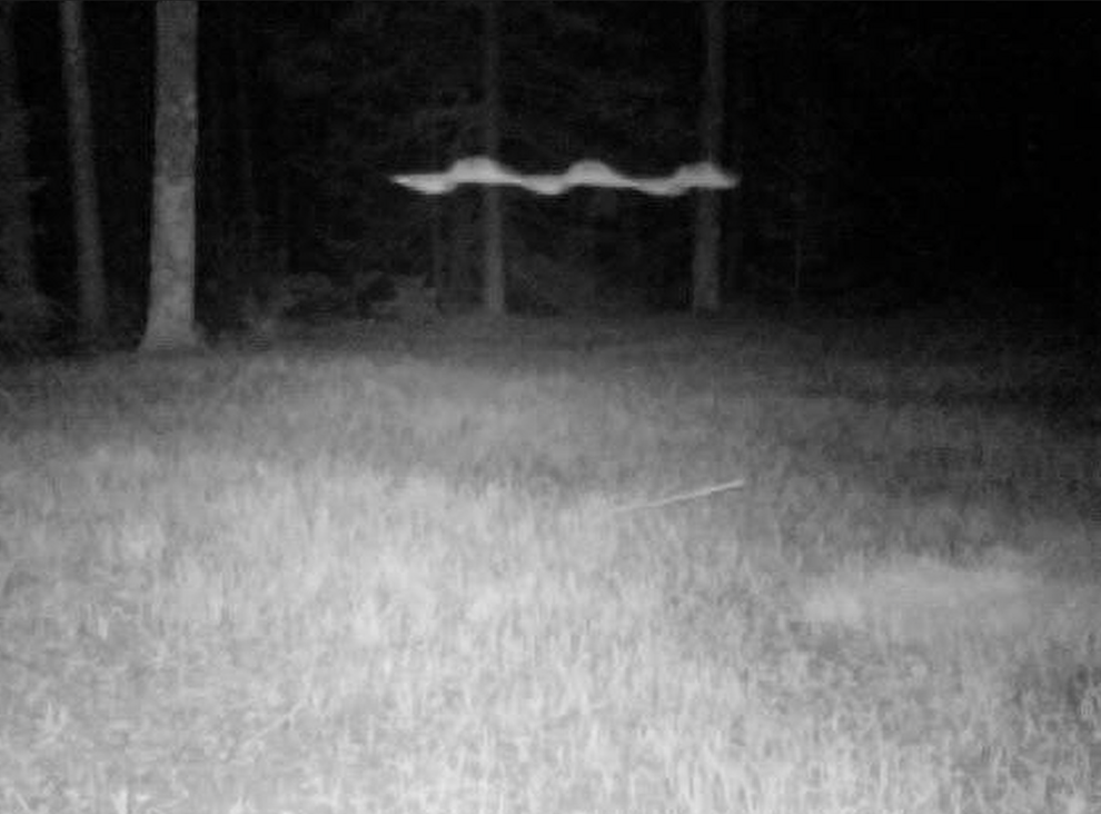11 Completely Unnatural Things Caught On Trail Cams