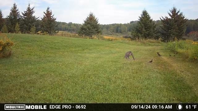 11 Completely Unnatural Things Caught On Trail Cams