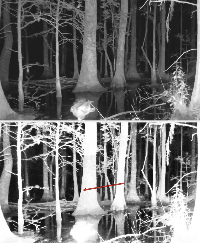 11 Completely Unnatural Things Caught On Trail Cams