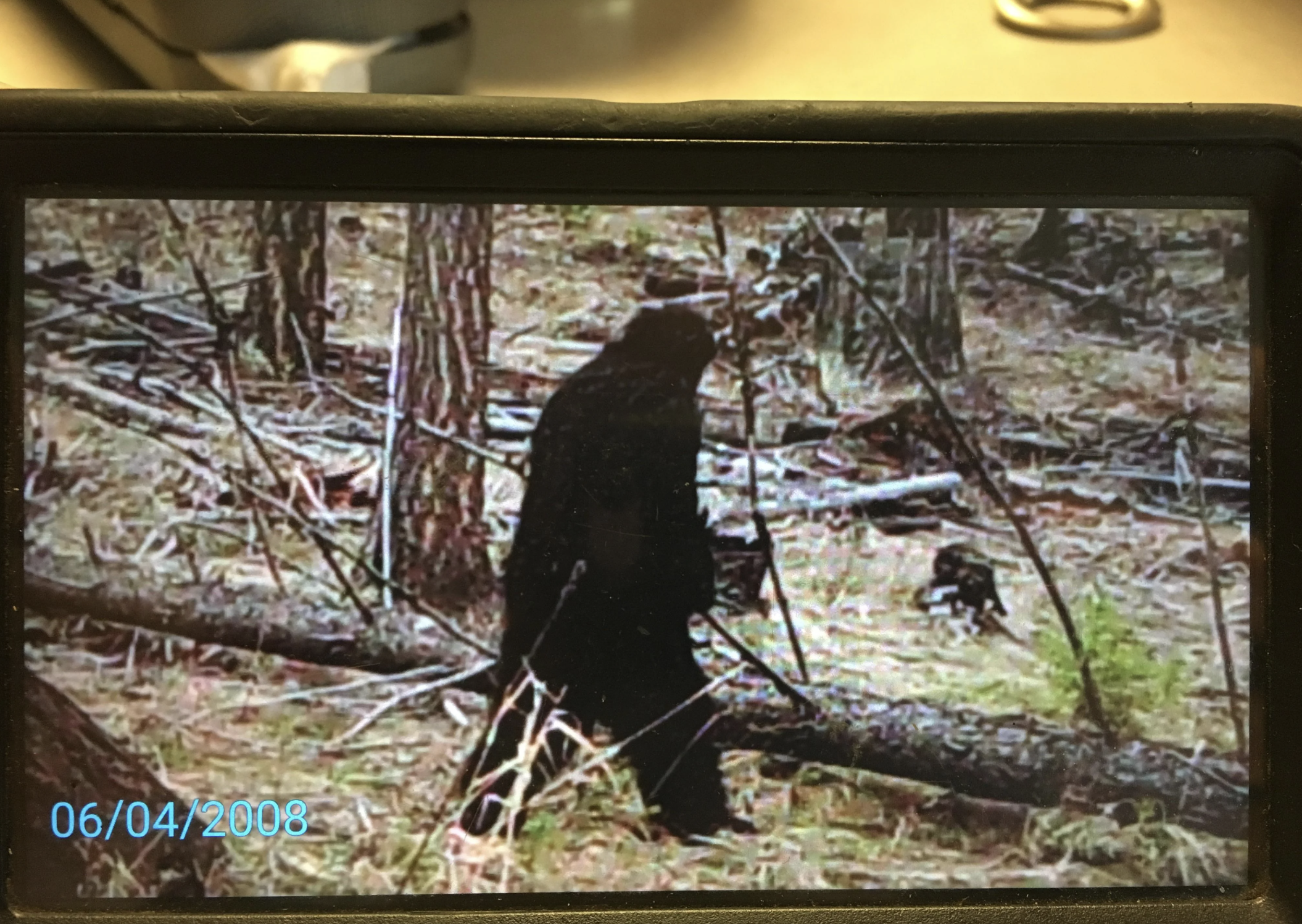 11 Completely Unnatural Things Caught On Trail Cams