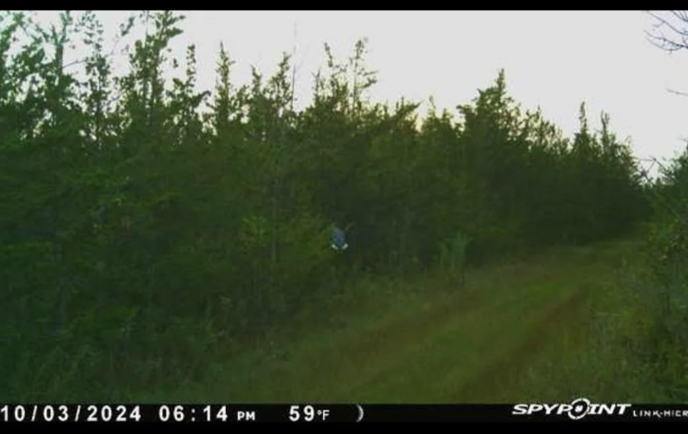 11 Completely Unnatural Things Caught On Trail Cams