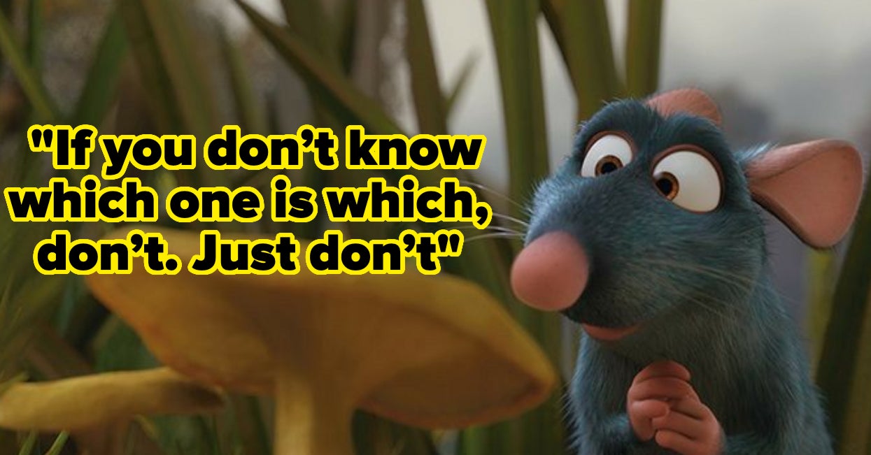 17 Things You Should Never Ever Mess With