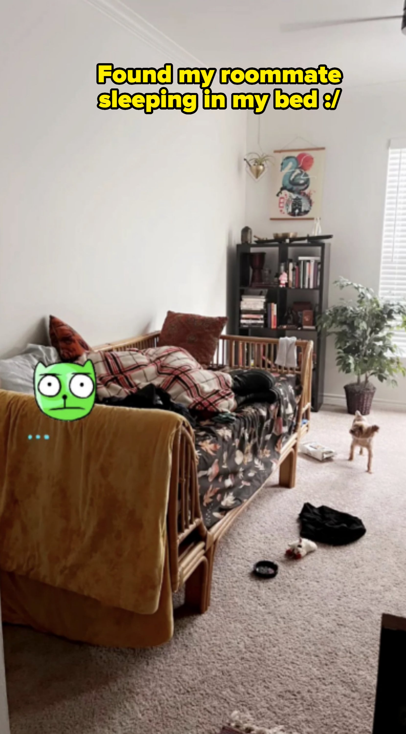 43 Terrible, Terrible Roommates