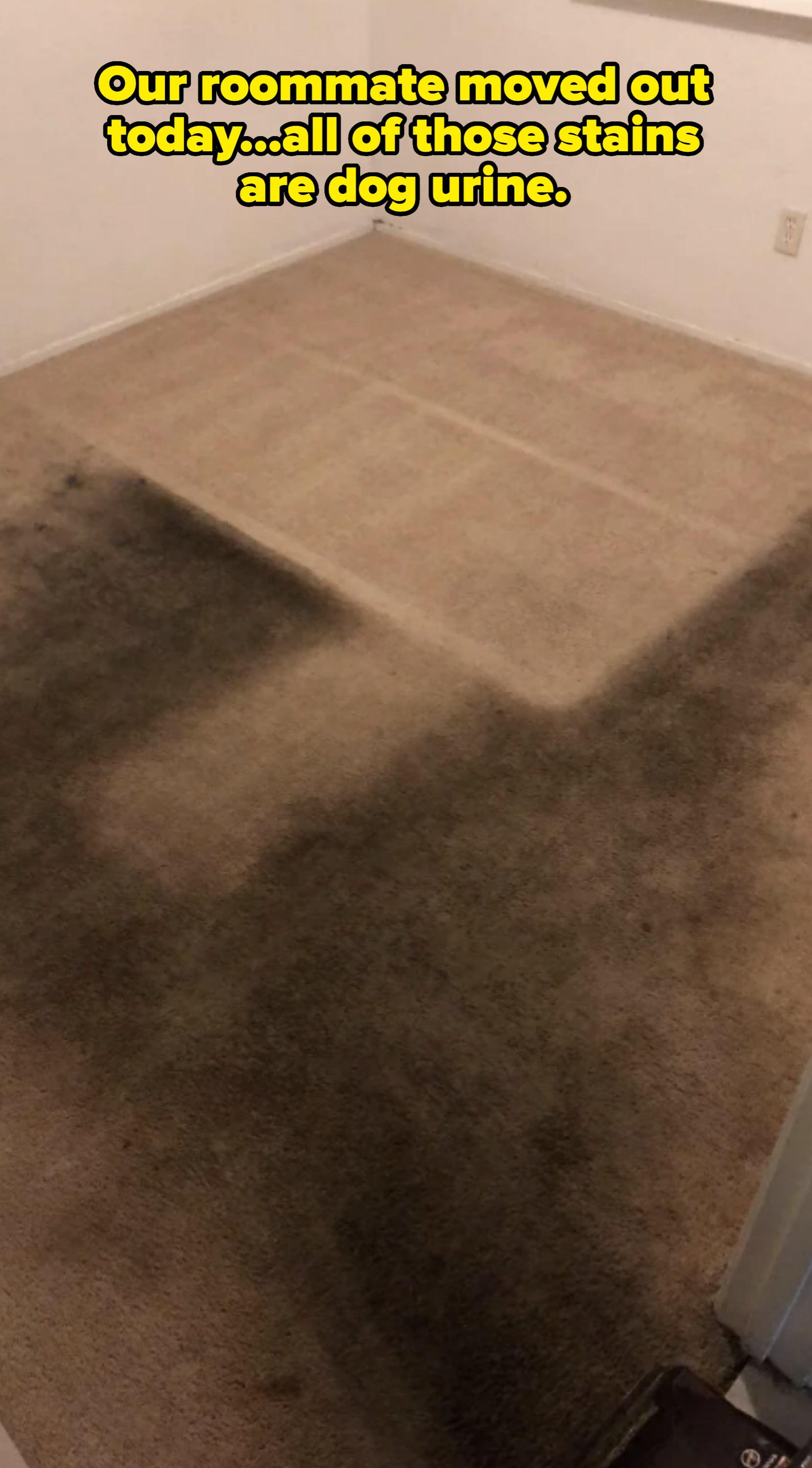 43 Terrible, Terrible Roommates